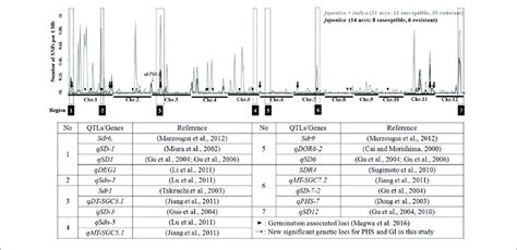 Snp Density Plot Of Snps Between Phs Resistant And Susceptible