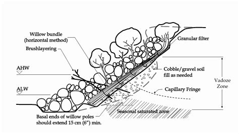 Streambank Soil Bioengineering Approach To Erosion Control Erosion