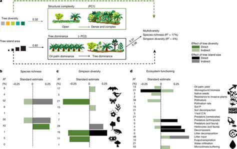 Influence Of Tree Island Area And Planted Tree Diversity On