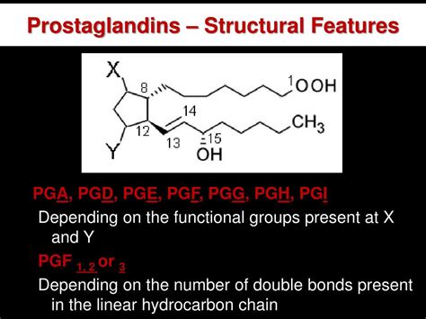 Ppt Eicosanoids Prostaglandins Thromboxanes Leukotrienes