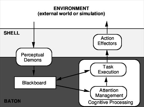 Cognet Information Processing Architecture Download Scientific Diagram