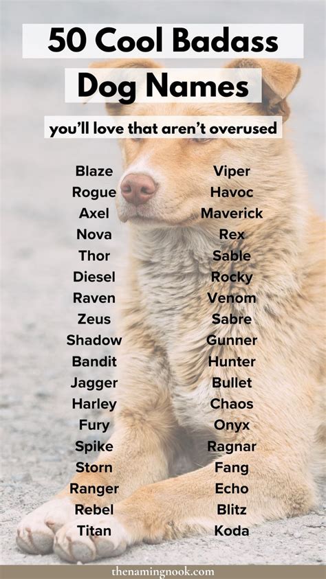 Pin On Cute Animal Names