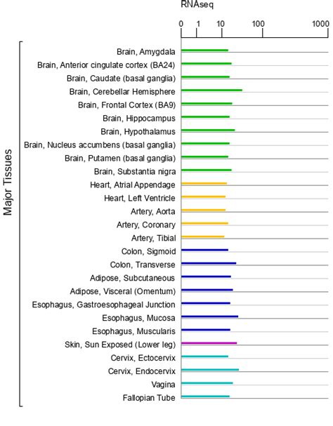 Abca7 Gene Genecards Abca7 Protein Abca7 Antibody
