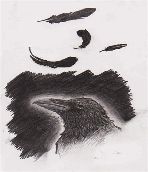 Raven And Feathers Sketch By Comrade47 On Deviantart