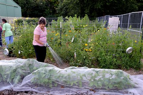 Dig In With Confidence With Spring Vegetable Gardening Workshops