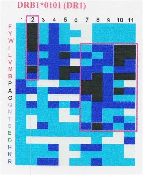 Combinatorial Peptide Libraries In Assays To Determine Exact Mhc