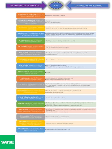Mapa Conceptual Pai Pdf Partería Parto
