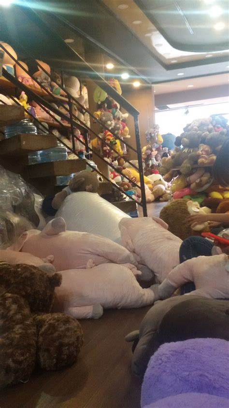 Clip Top 1 Cửa Hàng Gấu Teddy Huyện Văn Lãng Lạng Sơn 2022 Cốc Cốc Vn News Tóm Tắt Tin Tức