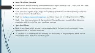 Type Ii Secretion In Aeromonas Hydrophila PPTX