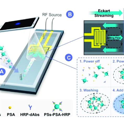 acoustically enhanced microfluidic smartphone detection platform a download scientific