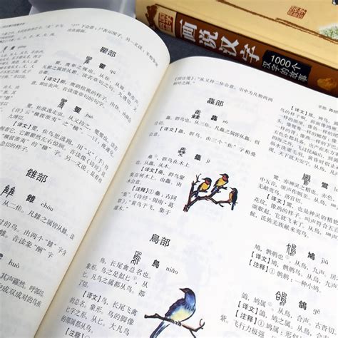 【彩图全解】2本套装说文解字 画说汉字古代汉语字典字典咬文嚼字细说汉字故事汉字图解字典通中华句源发现汉字文字学概要 虎窝淘