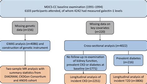 A Flow Chart Of Participants Of The Mdcs Cc With Circulating Levels Of Download Scientific