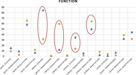 Original Versus Replicated Functional Interpretations Relative