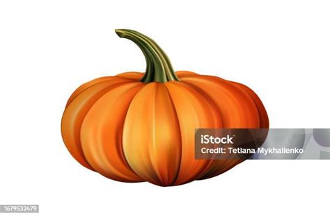 호박 아이콘 3d 할로윈과 추수 감사절의 상징 오렌지 현실적인 전체 과일 가을 수확 생 호박 정원 식물 일년생 야채 흰색으로 분리된 벡터 3d 그림입니다 10월에 대한 스톡
