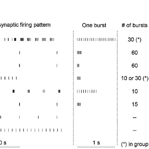 Postsynaptic Wring During Plasticity Induction Comparison Of Protocols