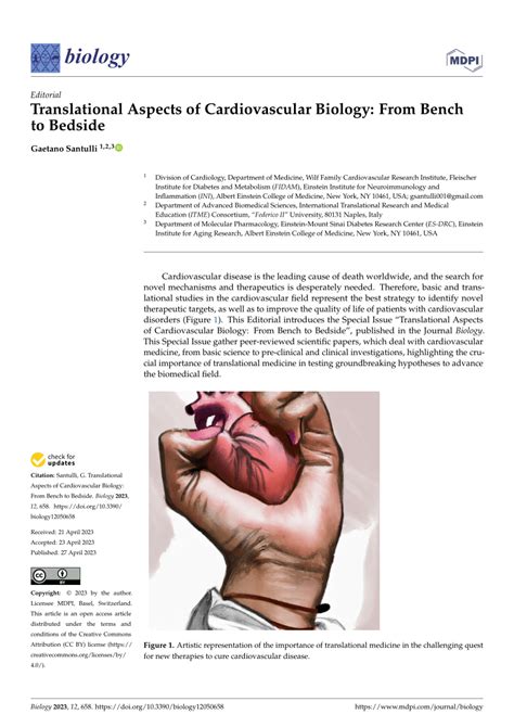 Pdf Translational Aspects Of Cardiovascular Biology From Bench To Bedside