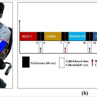 Experiment Setup A Measurement Setup Of The Proposed Multibiosensor Download Scientific