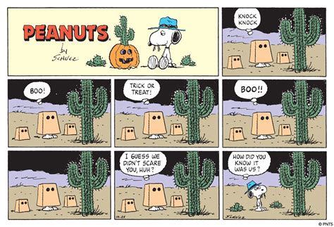 This Peanuts Sunday Comic Strip Was First Published On October 25 1992
