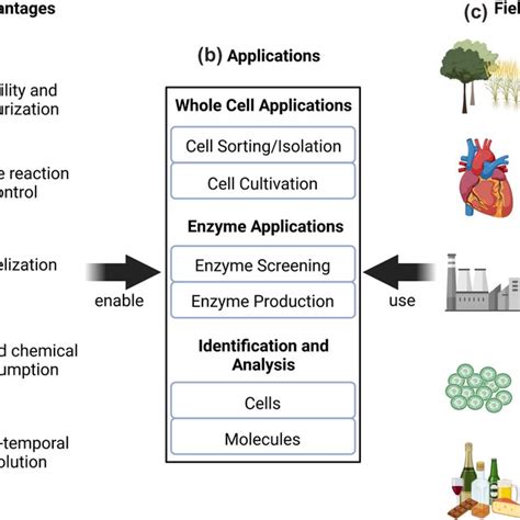 Microfluidic Systems Enable Various Applications Which Are Used Across Download Scientific