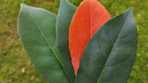 Preattentive Attributes In Visualization An Example