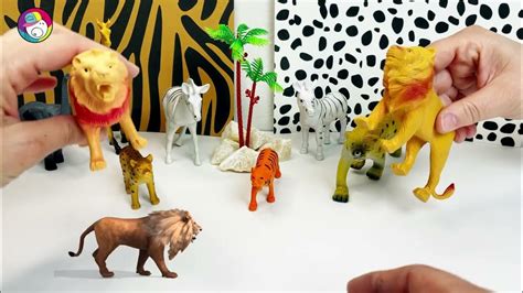 Μαθαίνουμε τα ζώα της ζούγκλας Ο βασιλιάς της ζούγκλας Άγρια ζώα Youtube