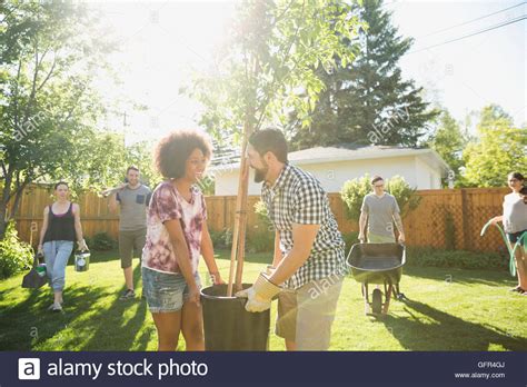 Couple Carrying And Planting Tree In Sunny Backyard With Friends Stock Photo Alamy