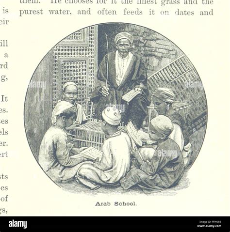 Primary Geography Introduces Young Readers To The Basics Of Geography With Engaging