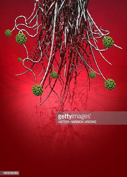 Data Corruption Photos And Premium High Res Pictures Getty Images