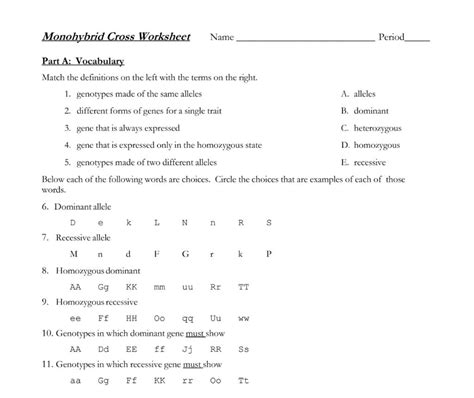 Monohybrid Problems Worksheet Practice Genetics With These Interactive