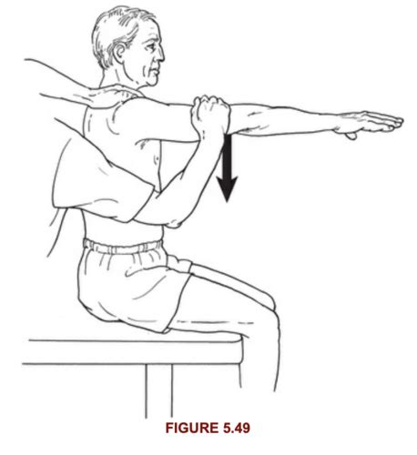 Mmt Shoulder And Elbow Flashcards Quizlet