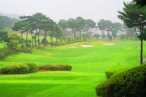 안성베네스트cc 라운딩후기 남 동 코스 네이버 블로그