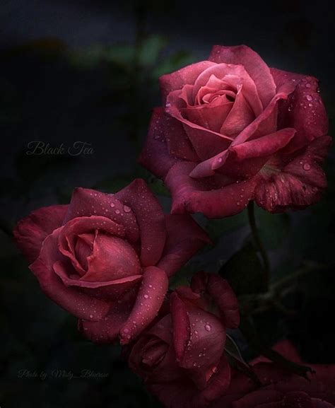 Javad Jamshidi Posted On Linkedin