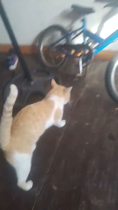 8 De Junio De 2024 Youtube