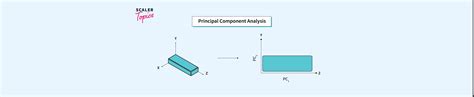 principal component analysis pca scaler topics