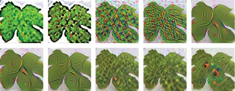 Visualisation Of The Output Layer Images After Each Processing Step Of Download Scientific