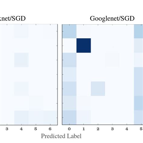 Examples Of Correct Detections Top 5 Confidence Scores For Example Download Scientific Diagram