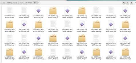 Qsiprep Might Be Stuck Software Support Neurostars