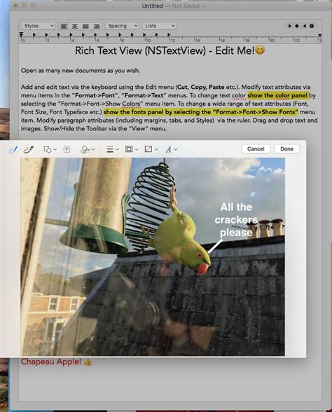 Windows And Windowcontroller Tutorial For Macos Kodeco