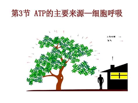 第五章第三节word文档在线阅读与下载无忧文档