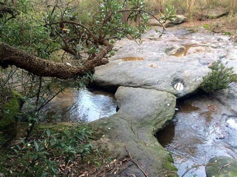 Curl Curly Creek Manly Dam Circuit Sydney Sole Sisters