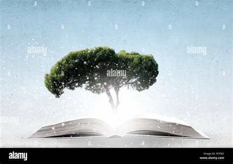 Conceptual Image With Green Tree Growing From Book Stock Photo Alamy