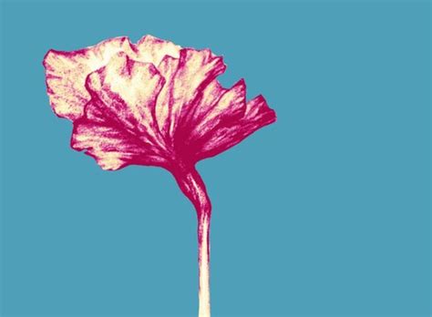 Softpmo™ Solutions