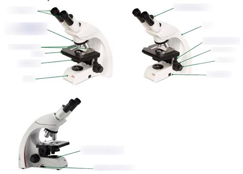 Review Microscopes Diagram Quizlet