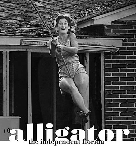 Original Noise Alligator Contents Enter Original Noise