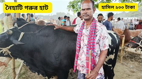 নৈহাটি গরুর হাট আজ সোমবার গরুর বাজার দর জানুন Bangladesh Agro Ltd Youtube
