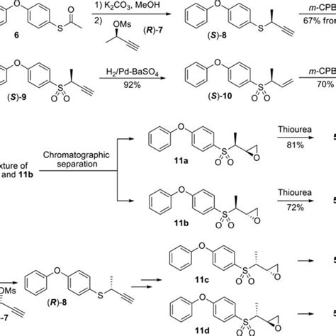 Synthetic Scheme For The Preparation Of Compounds 5 Download Scientific Diagram