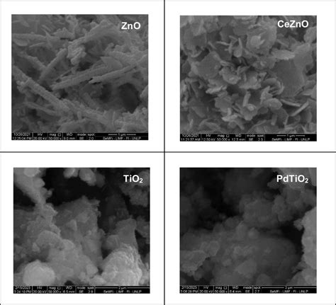 Sem Image Of Photocatalyst Samples Zno Cezno Tio2 And Pdtio2 × 50 000 Download Scientific