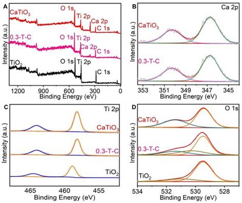 XPS Spectra Of TiO TC And CaTiO Survey Of TiO TC And Download Scientific