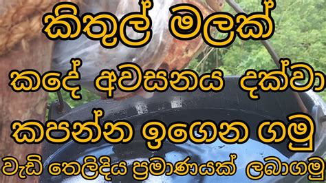මෙන්න කිතුල් මල් හදන ඔබට වැදගත්ම දෙයක්🌴sri Lanka Kithul Product🌴👍👍👌 Youtube