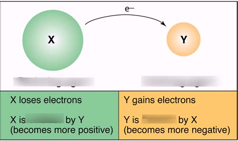 Redox Diagram Diagram Quizlet
